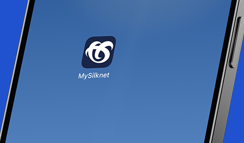 გაანაწილე Silknet-ის ერთწლიანი პაკეტები 12 თვეზე